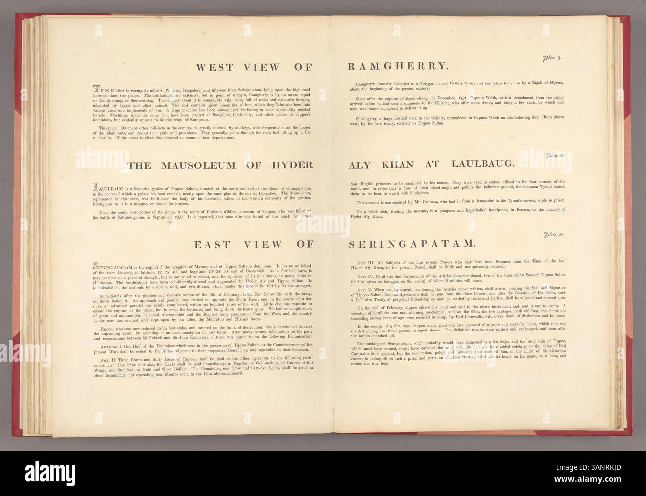 Image Courtesy YCBA Stock Photo - Alamy