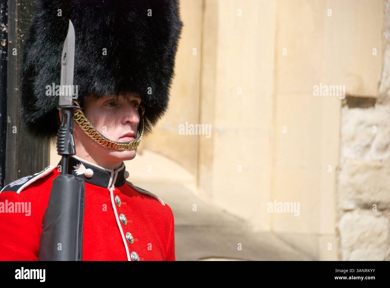 A Coldstream guard in uniform wearing a Bearskin headdress on duty by a ...