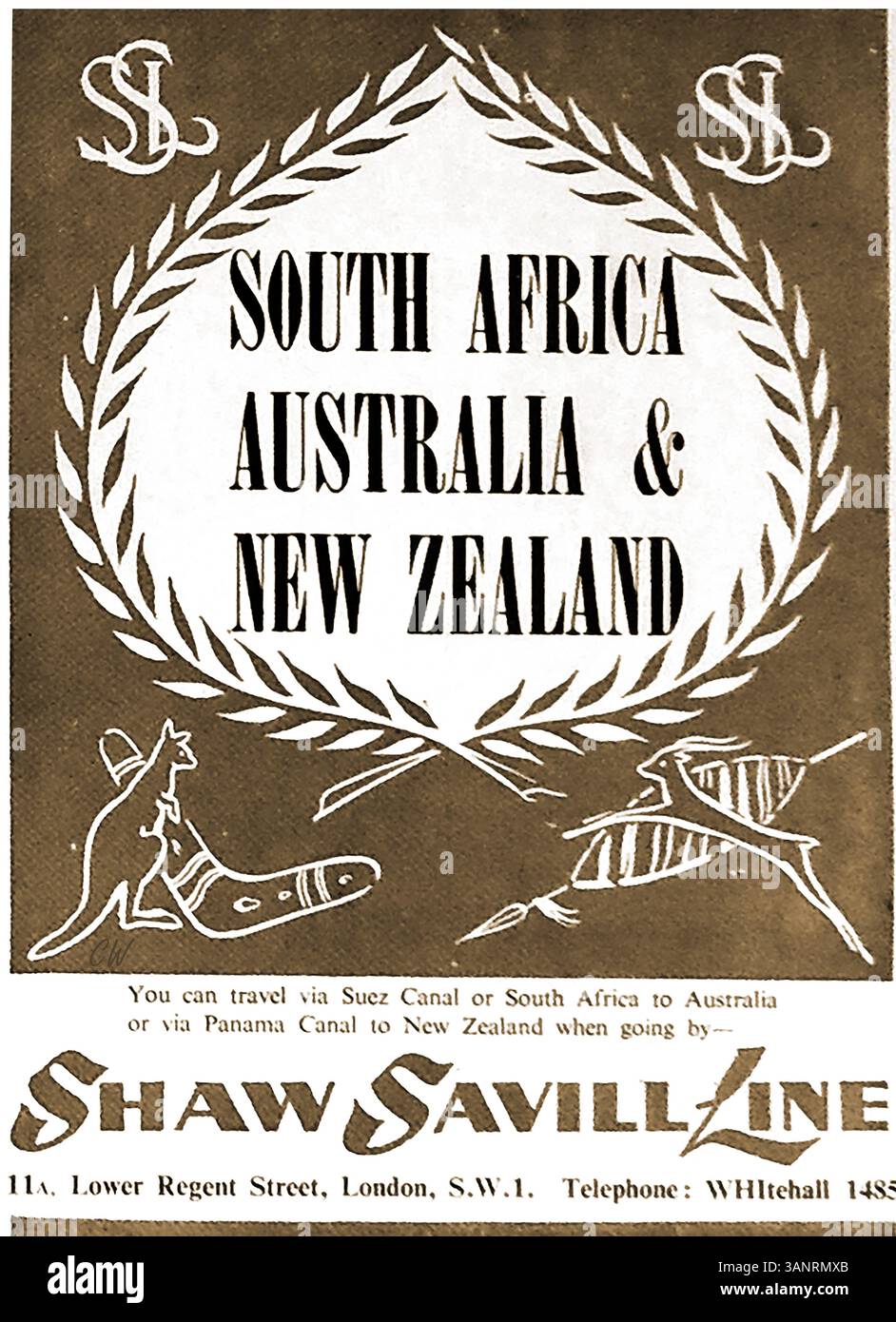 1950's British advertisement for the Shaw Savill Line voyages to south ...