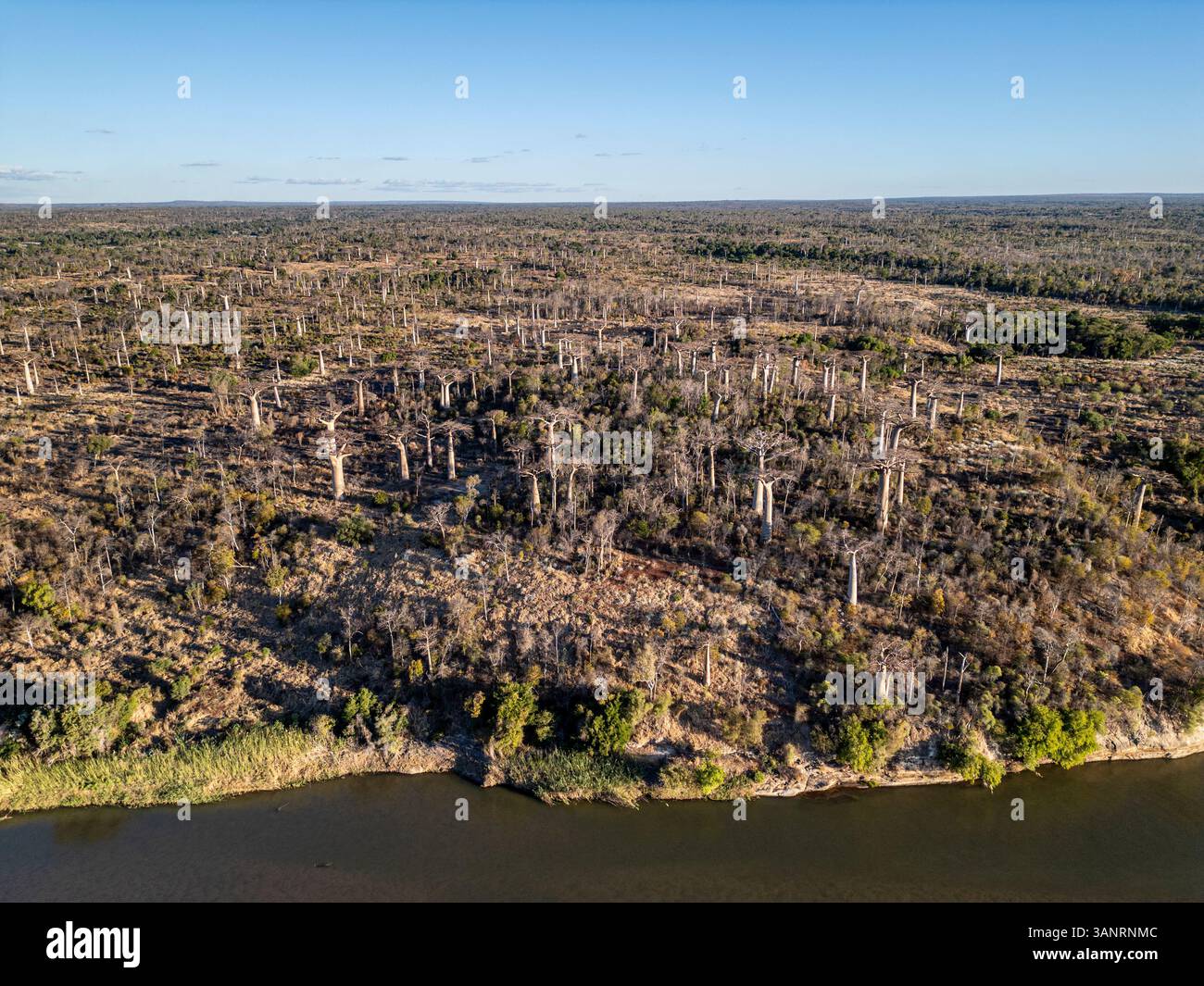 Aerial view of expansive dry savanna with rugged forest and trees ...