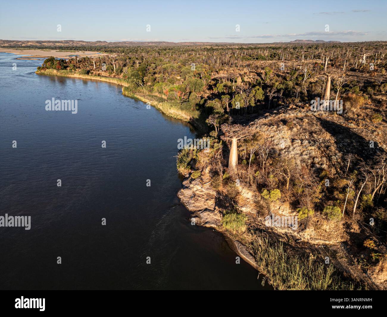 Aerial view of a beautiful river winding through a scenic forest and ...