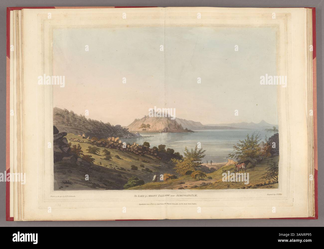 Image Courtesy YCBA Stock Photo - Alamy