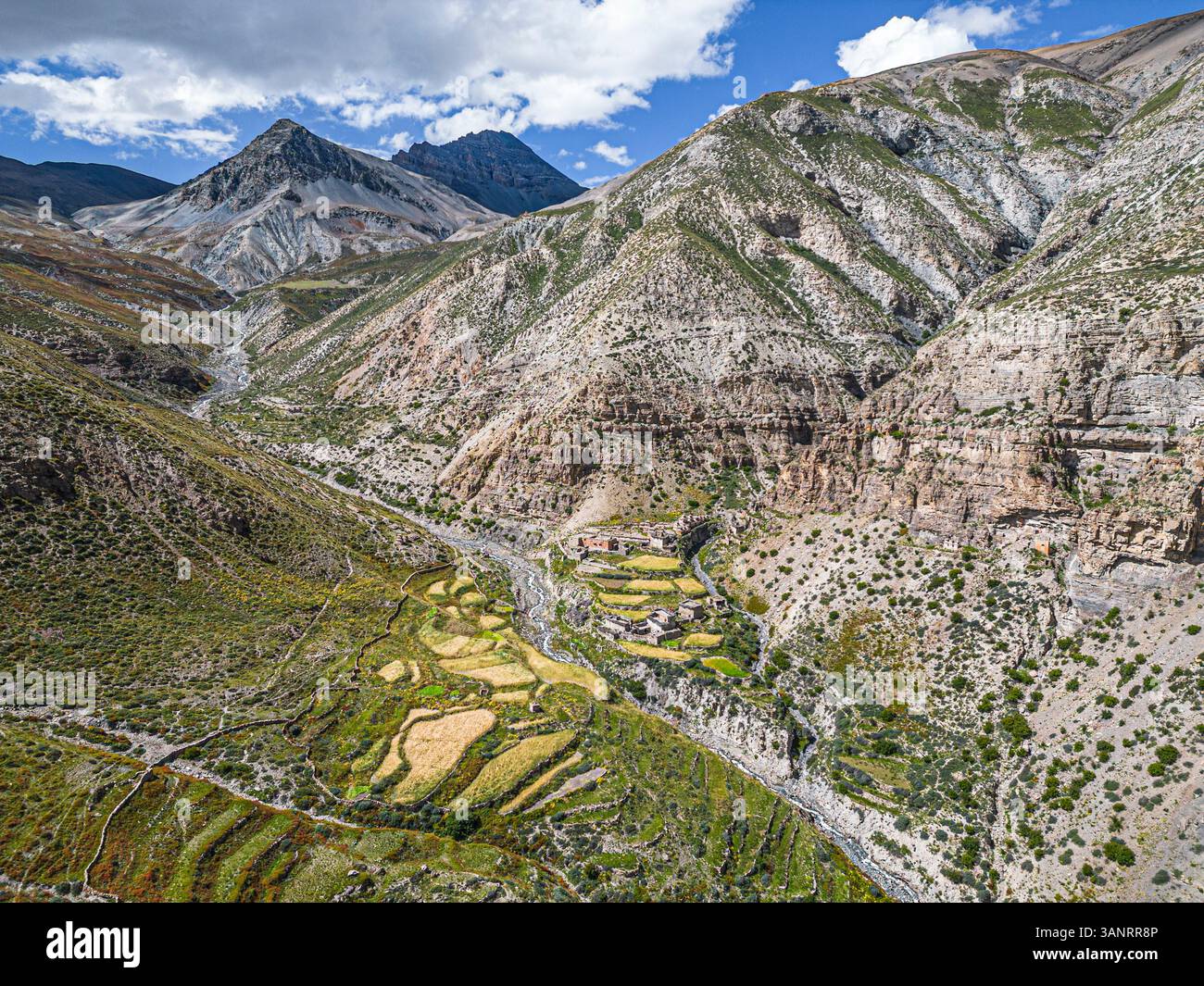 Aerial view of terraced fields and majestic mountains in Namgung Gompa ...