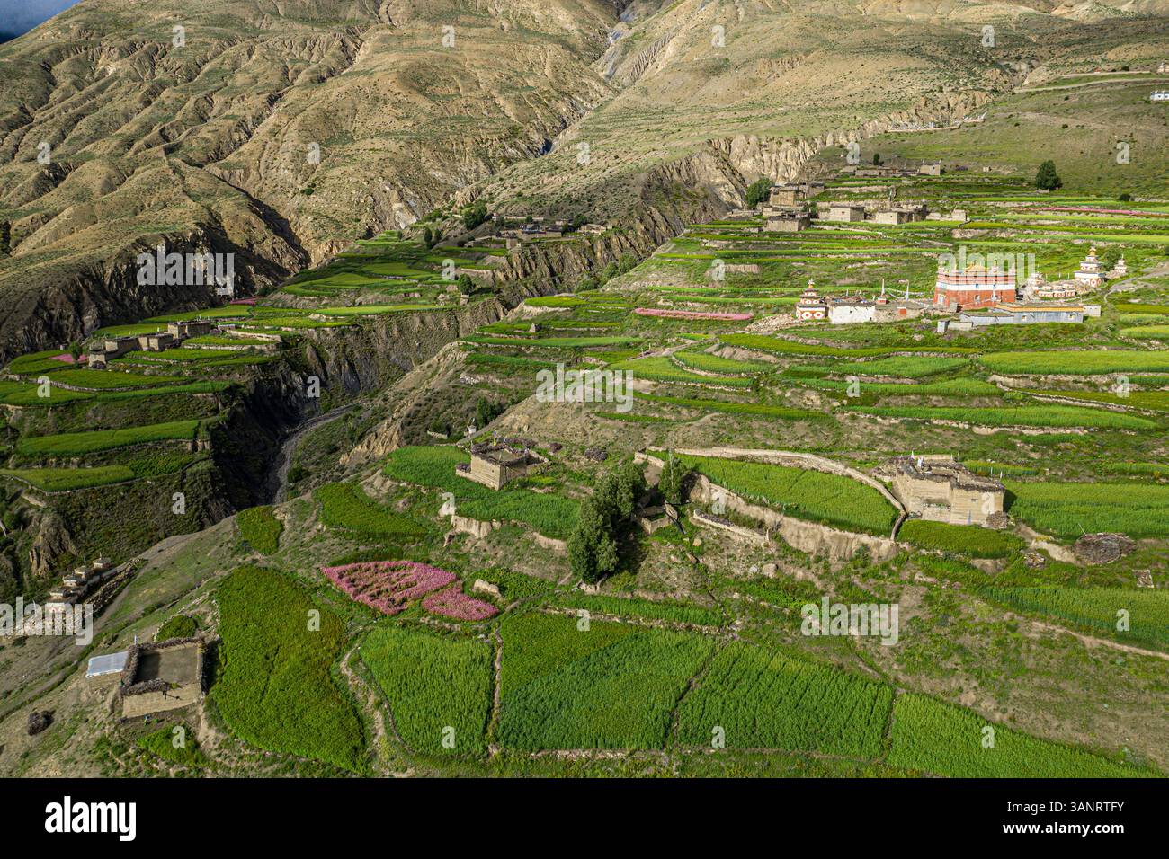 Aerial view of terraced fields, village, hills, and valley in remote ...