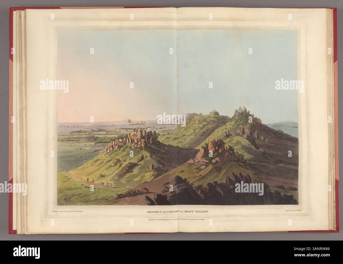 Image Courtesy YCBA Stock Photo - Alamy