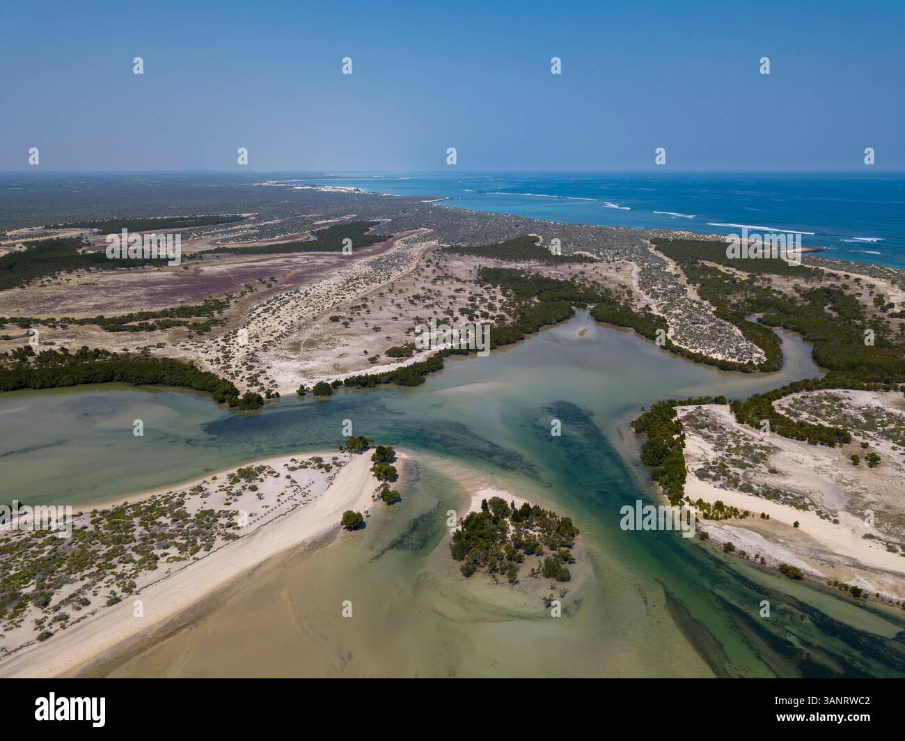 Aerial view of lush mangrove coast and forest in Vezo region, Anakao ...
