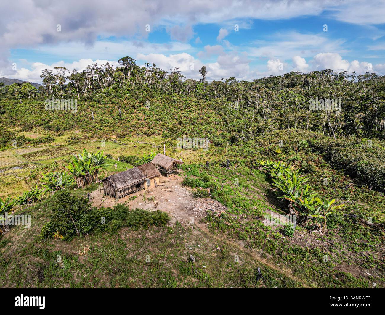 Aerial view of lush jungle hut in Sakaleona National Park, Ambositra ...
