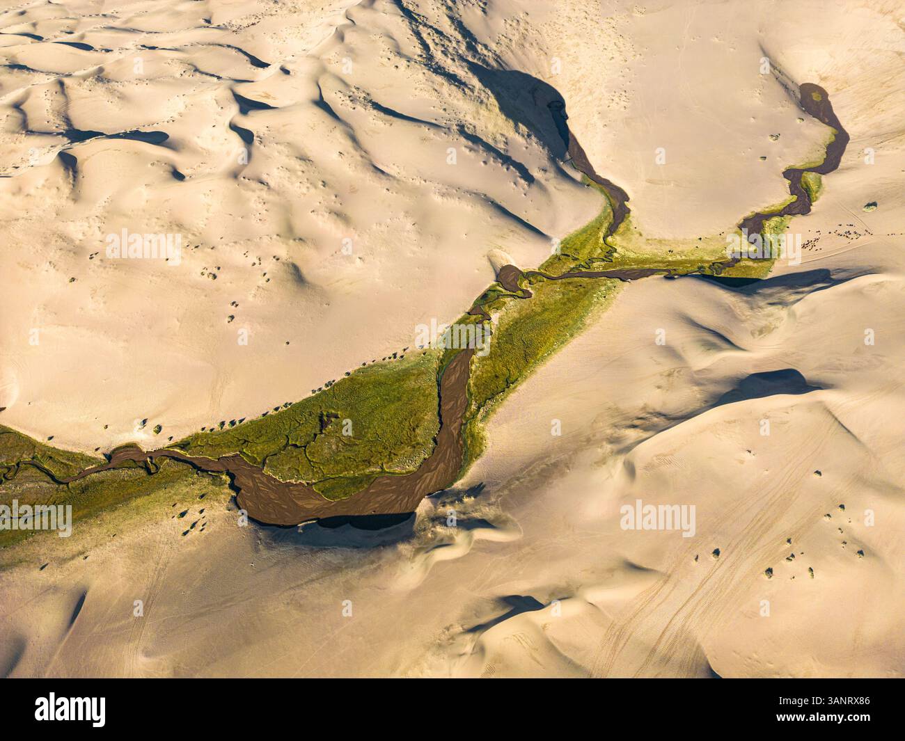 Aerial view of spring in the dunes, Tsetsen-Uul, Zavkhan, Mongolia ...
