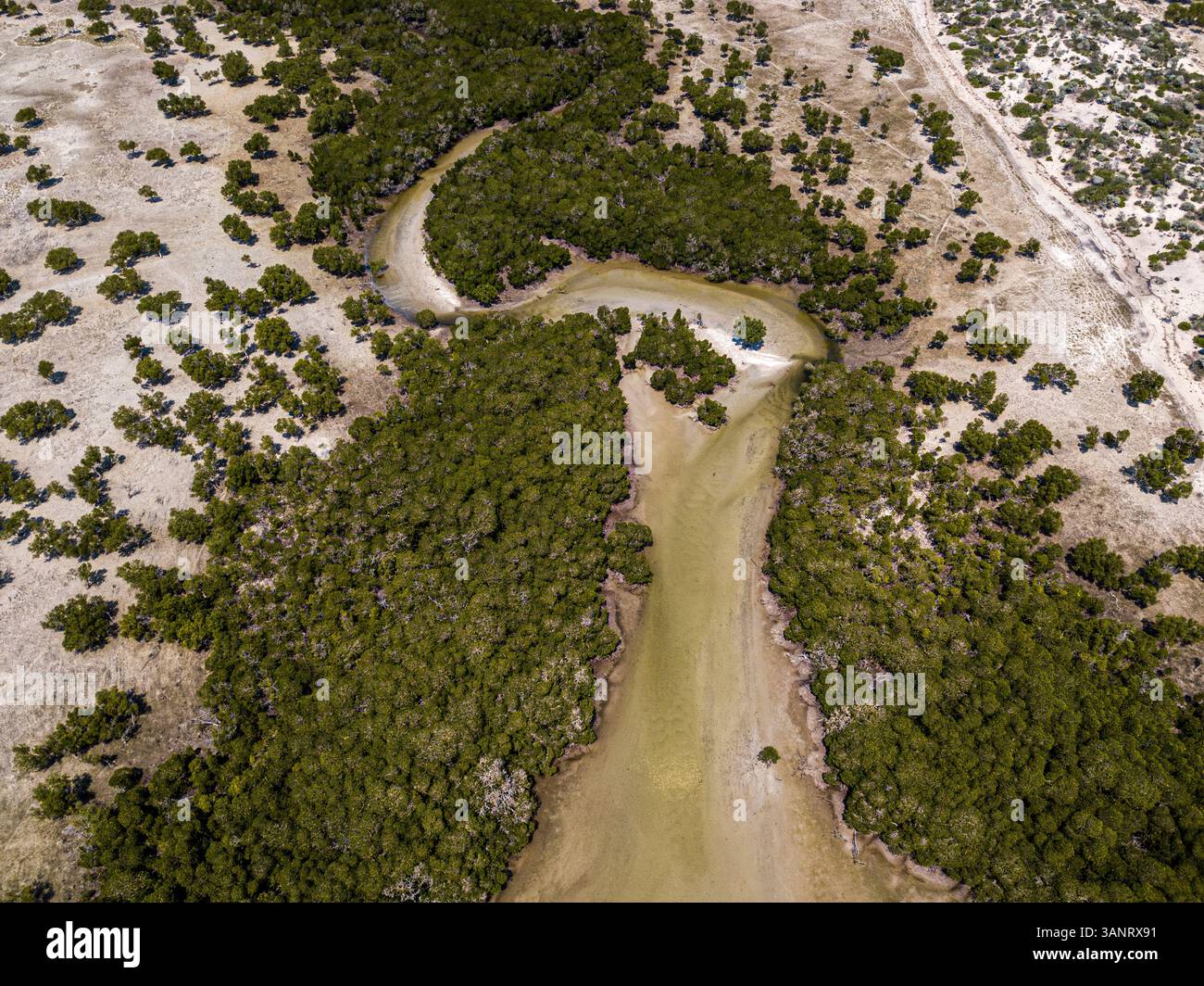 Aerial view of meandering river through mangrove forest, Vezo region ...