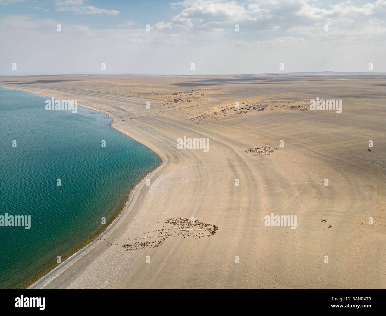 Aerial view of Khyargas lake, watering place for cattle, Zavhan ...