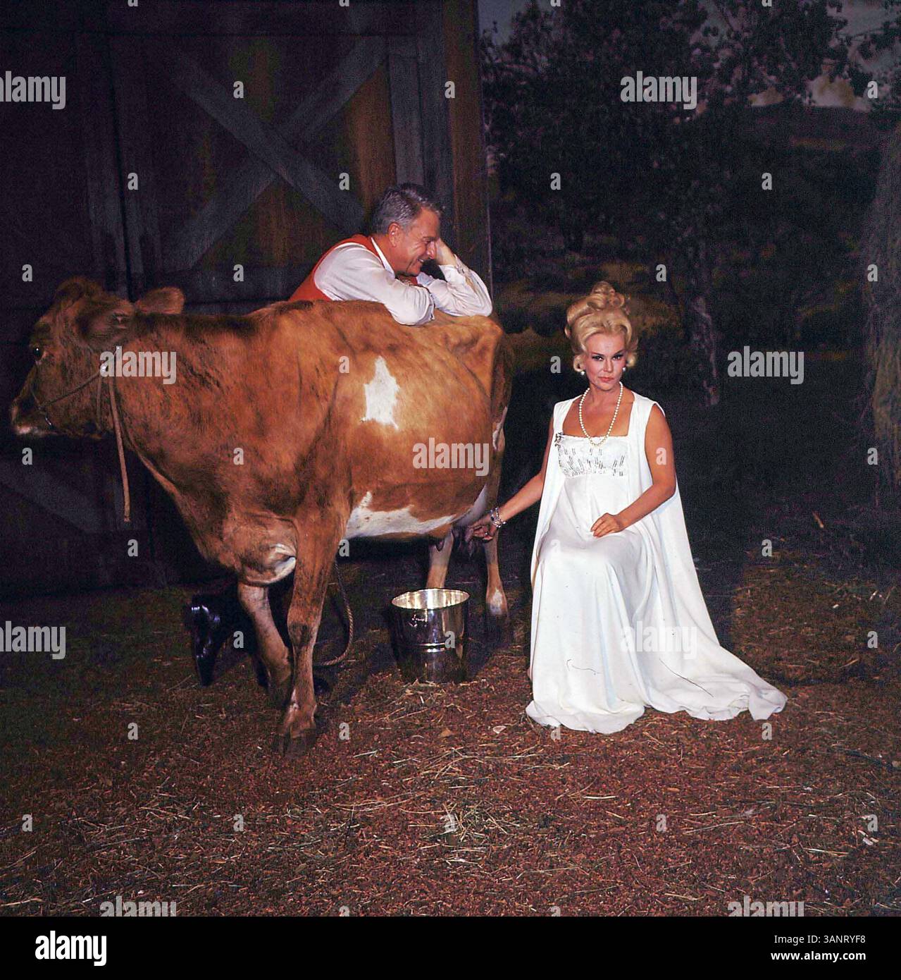 'Green Acres' stars EDDIE ALBERT and EVA GABOR (Credit Image: © Globe ...