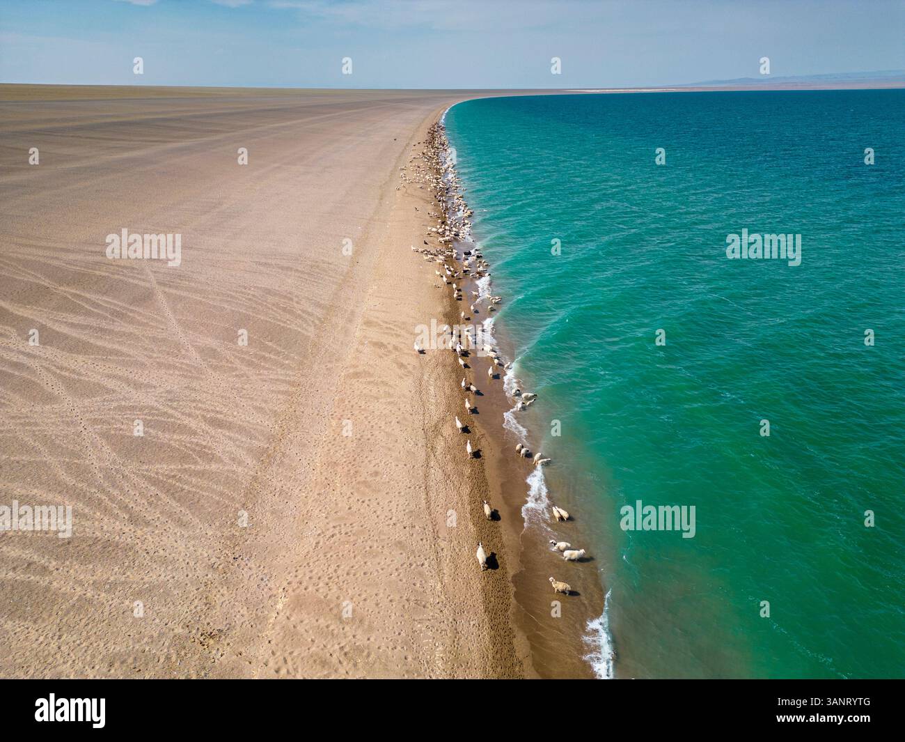 Aerial view of sandy beach by Khyargas Lake, Uvs, Zavhan, Mongolia ...