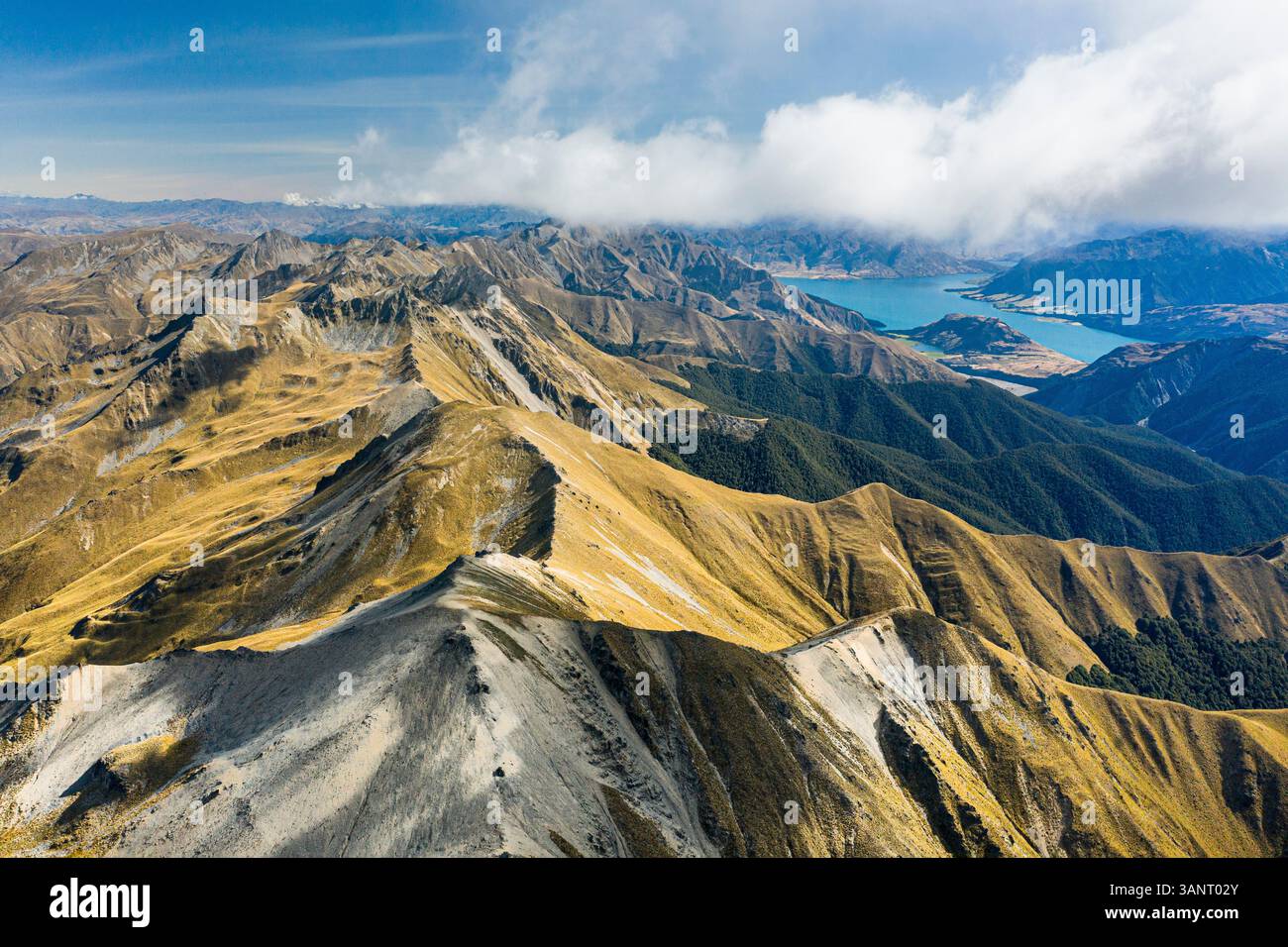 Aerial view of snow-capped mountain peaks, Lake Hawea, Otago, New ...