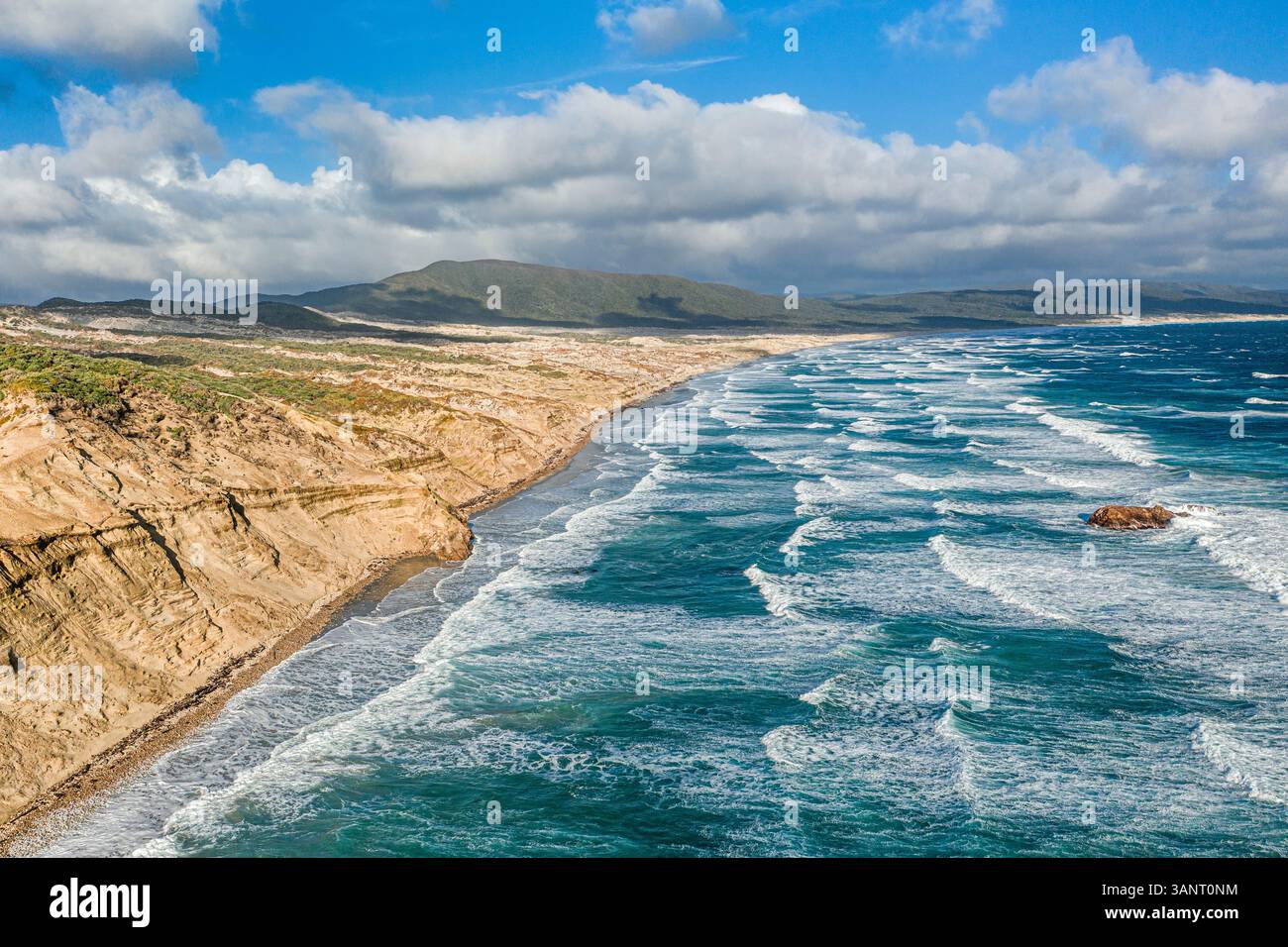 Aerial view of Mason Bay, Stewart Island, New Zealand Stock Photo - Alamy