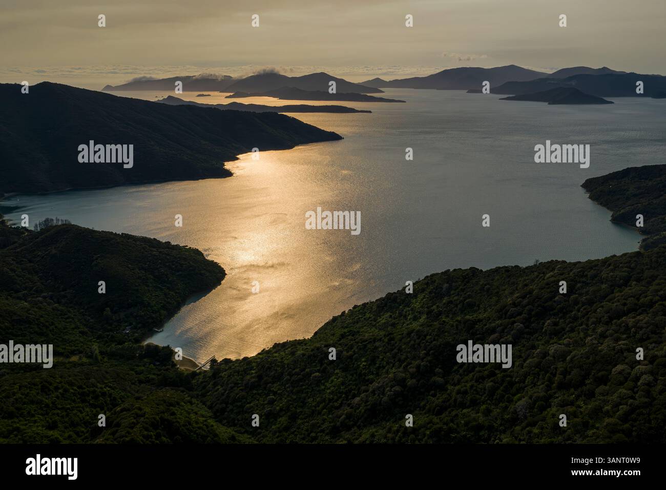 Aerial view of luxury yacht sailing in Endeavour Inlet, Marlborough ...
