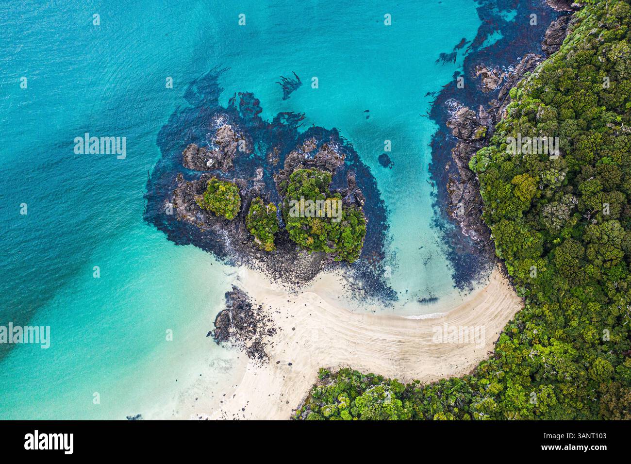 Aerial view of Big Bungaree beach, Stewart Island, New Zealand Stock ...