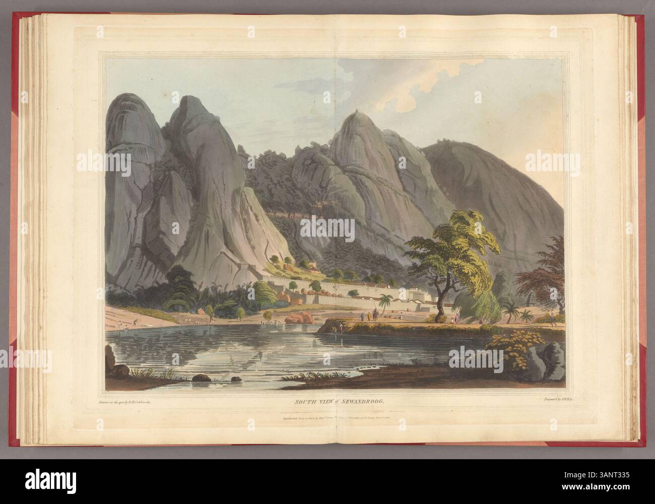 Image Courtesy YCBA Stock Photo - Alamy