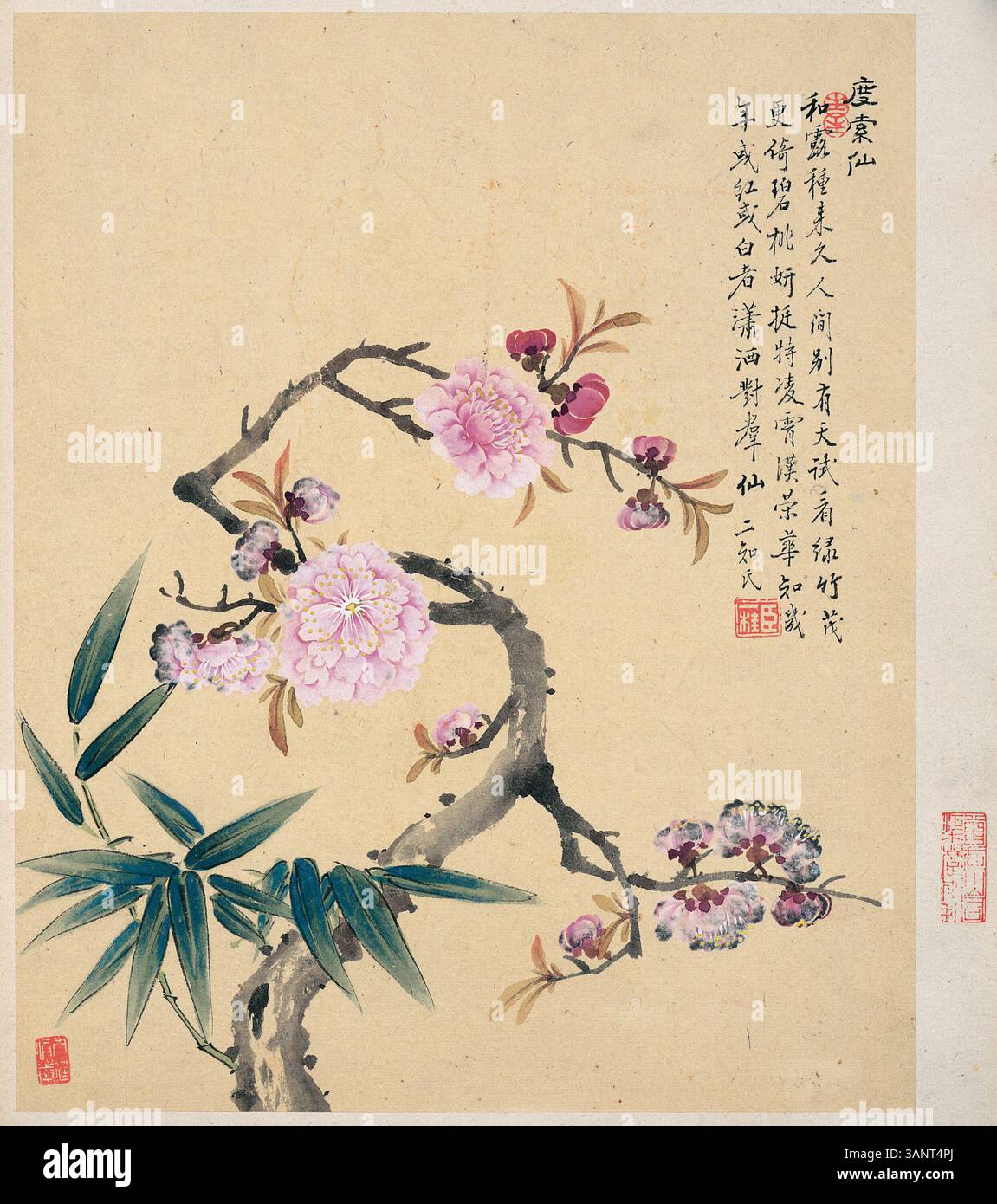 The Qing Dynasty Tianjin Museum displays Qing-era artifacts and ...