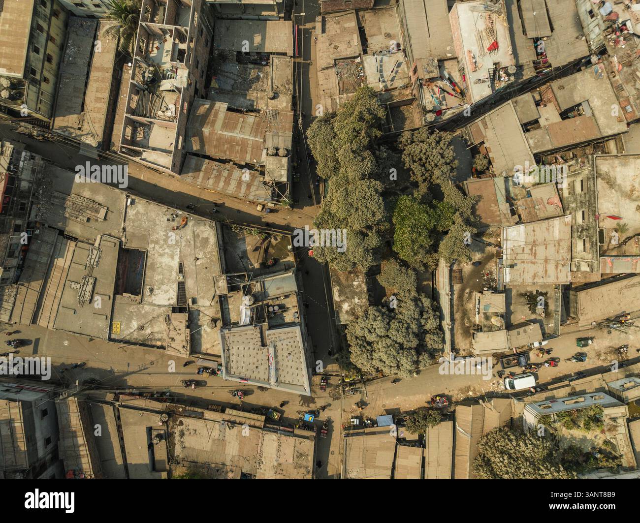 Aerial view of urban neighborhood with residential buildings and tree ...
