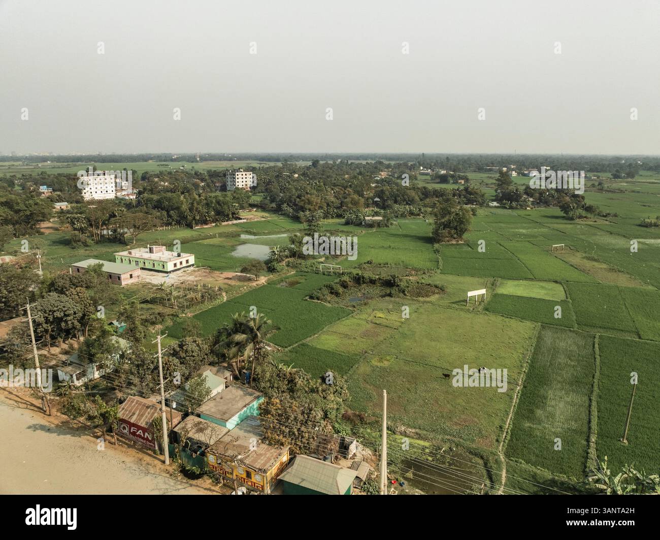Aerial view of beautiful rice fields and rural landscape with homes and ...
