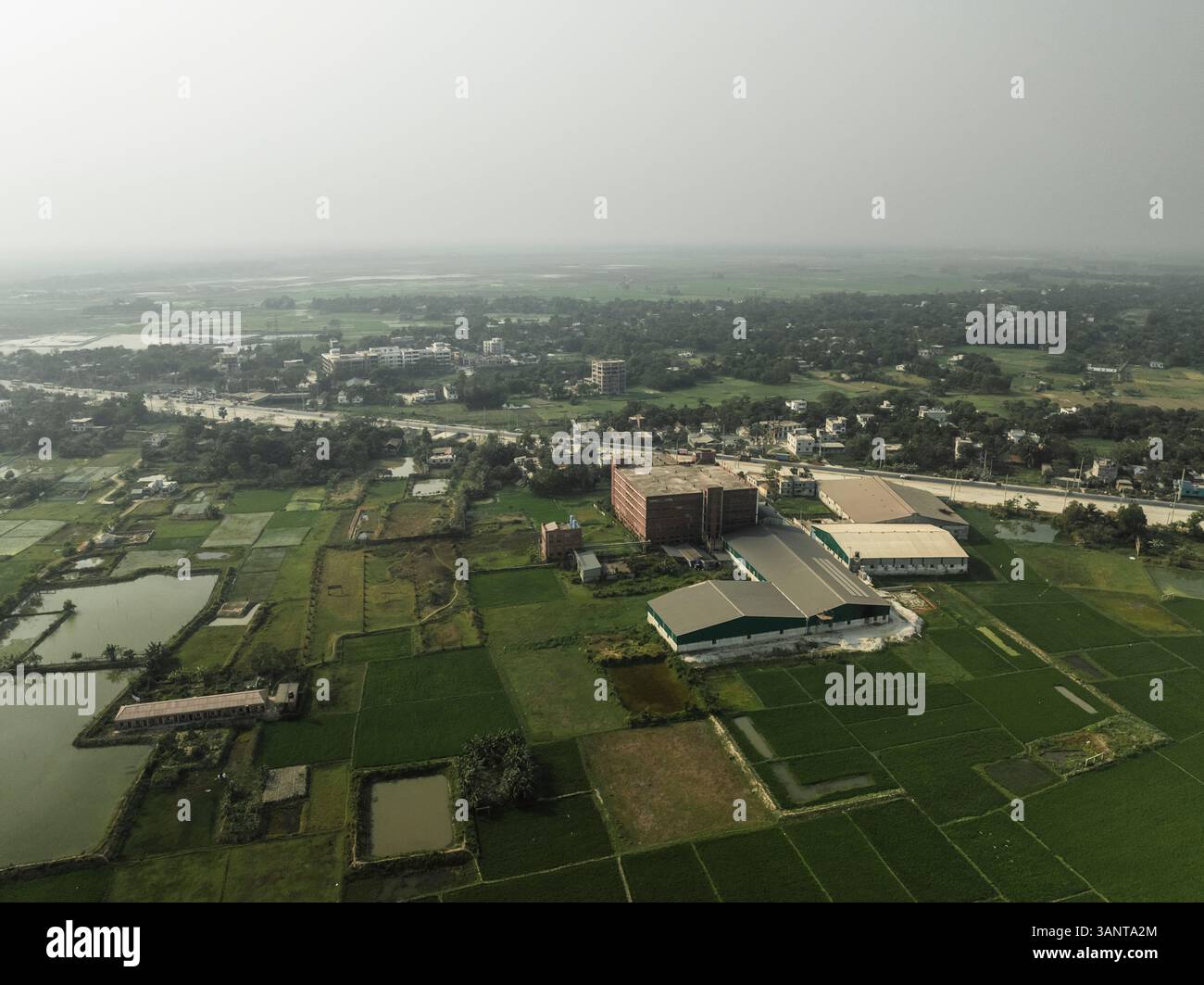 Aerial view of lush green rice fields with rural landscape and ...