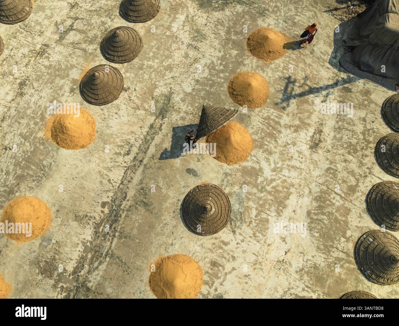 Aerial view of rice mills and fields with people working under sunlight ...