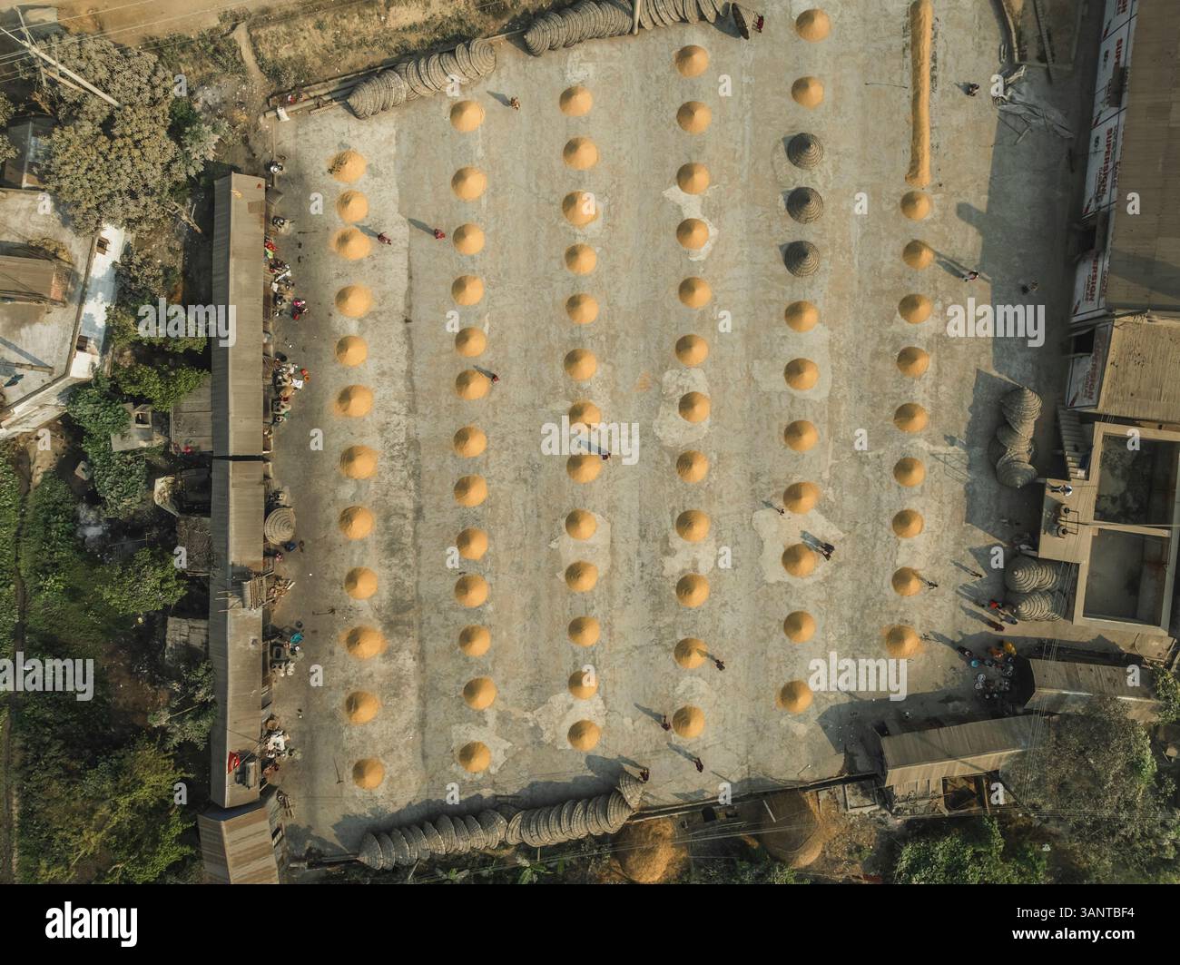 Aerial view of rice mills and rice fields with people engaged in ...