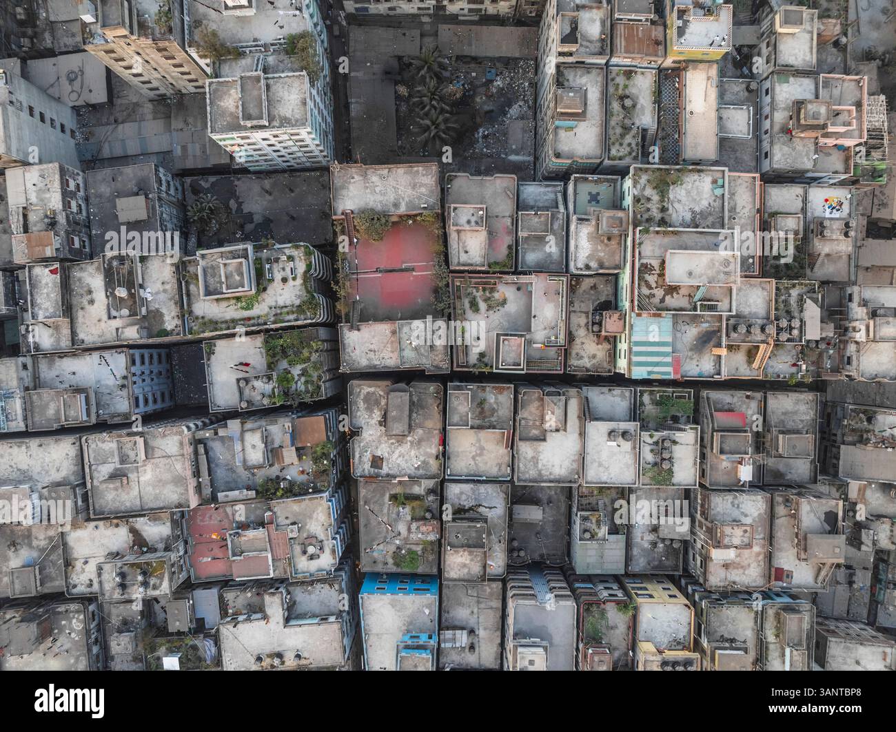 Aerial view of densely packed residential buildings and rooftops in a ...