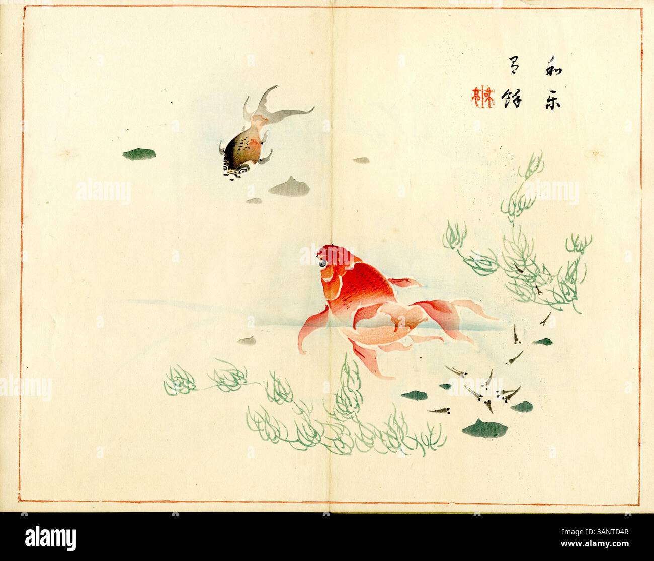 This fish print, part of a set of five albums created in 1894, features ...
