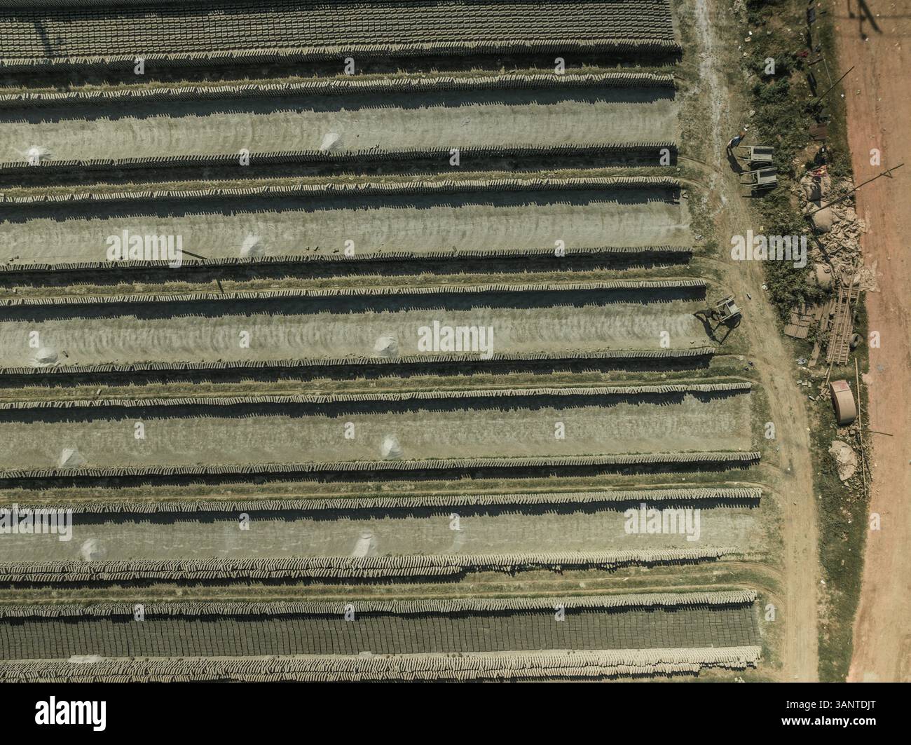 Aerial view of industrial brick fields with organized rows and texture ...