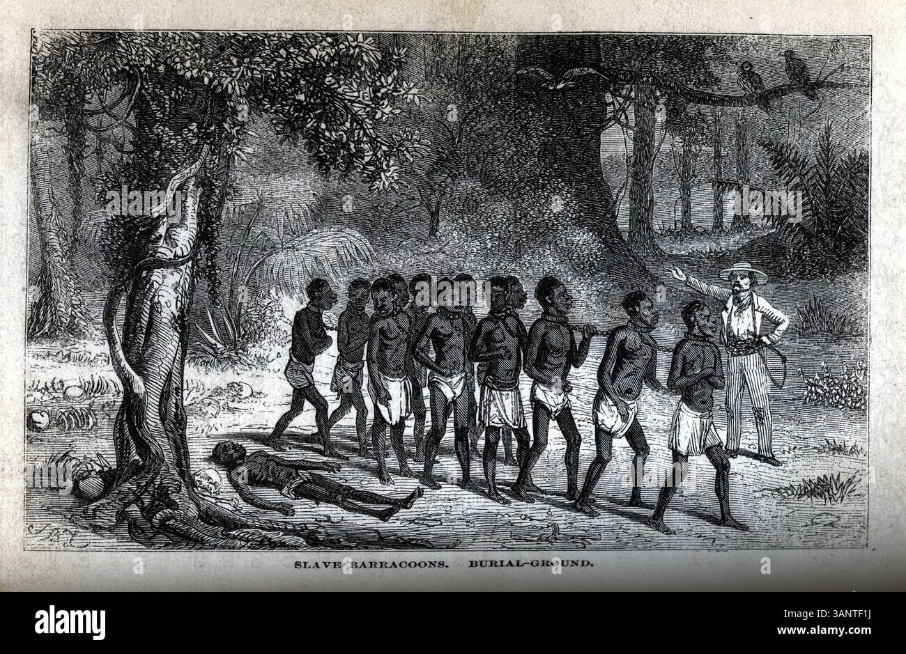 Slave barracoons hi-res stock photography and images - Alamy