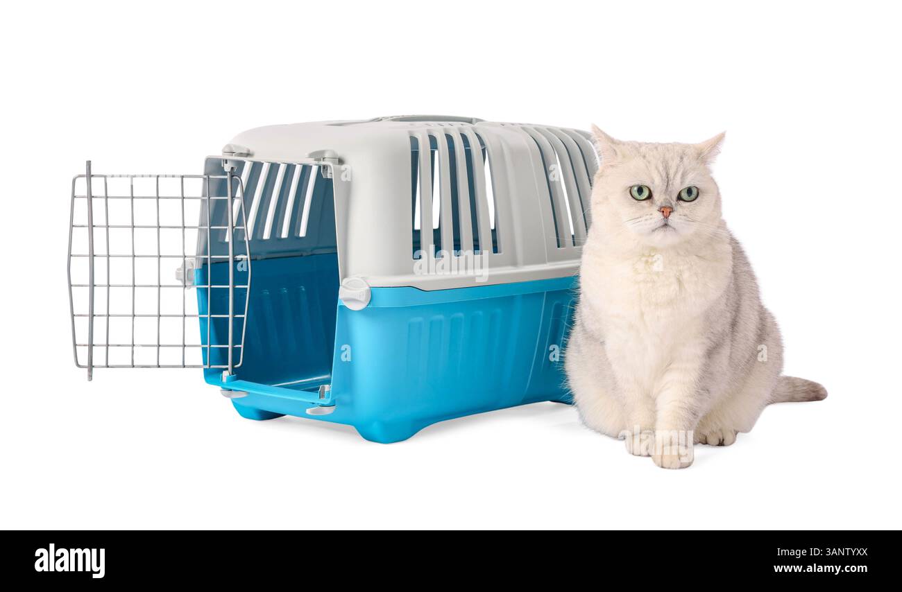 Blue bag carrier pet Cut Out Stock Images & Pictures - Alamy