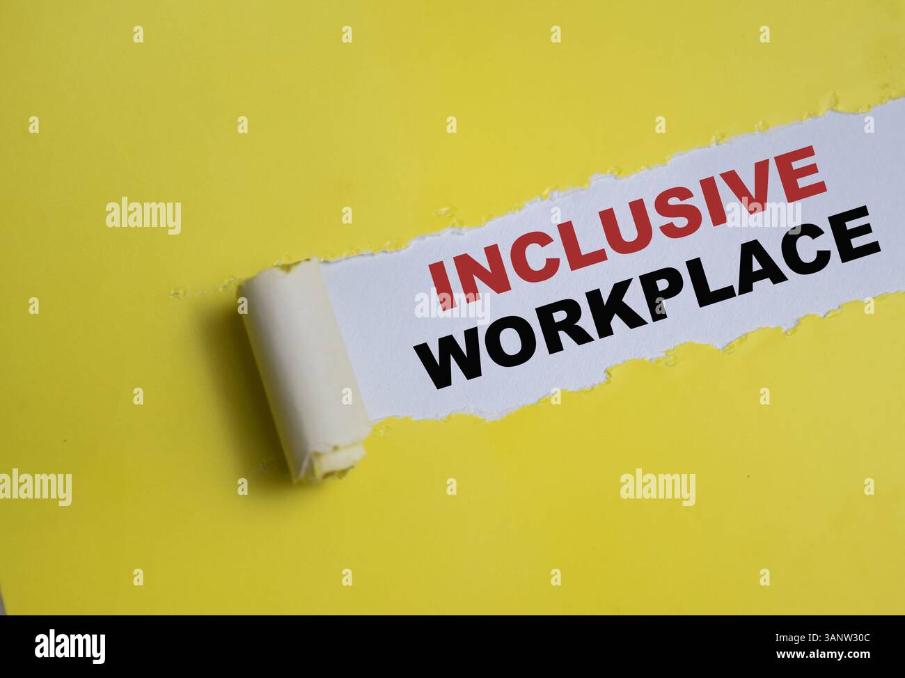 The Inclusive Workplace Text written in torn paper Stock Photo - Alamy