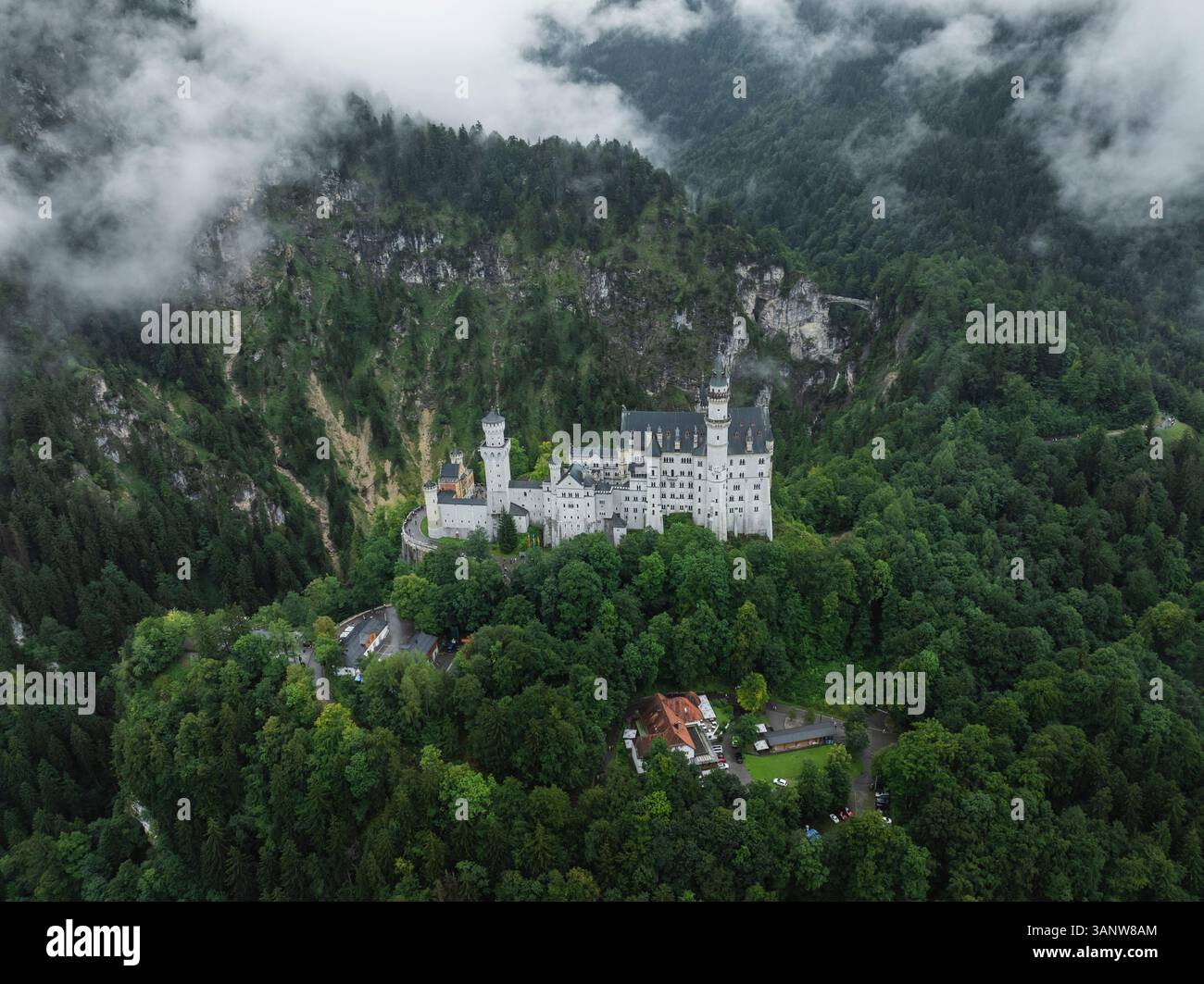 Aerial view of neuschwanstein castle surrounded by lush forest and ...