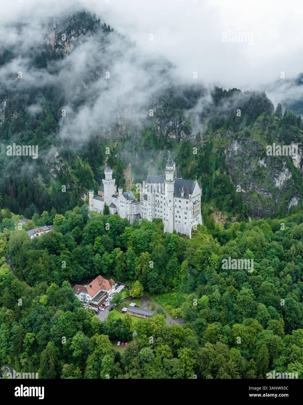 Aerial view of neuschwanstein castle surrounded by lush forest and ...