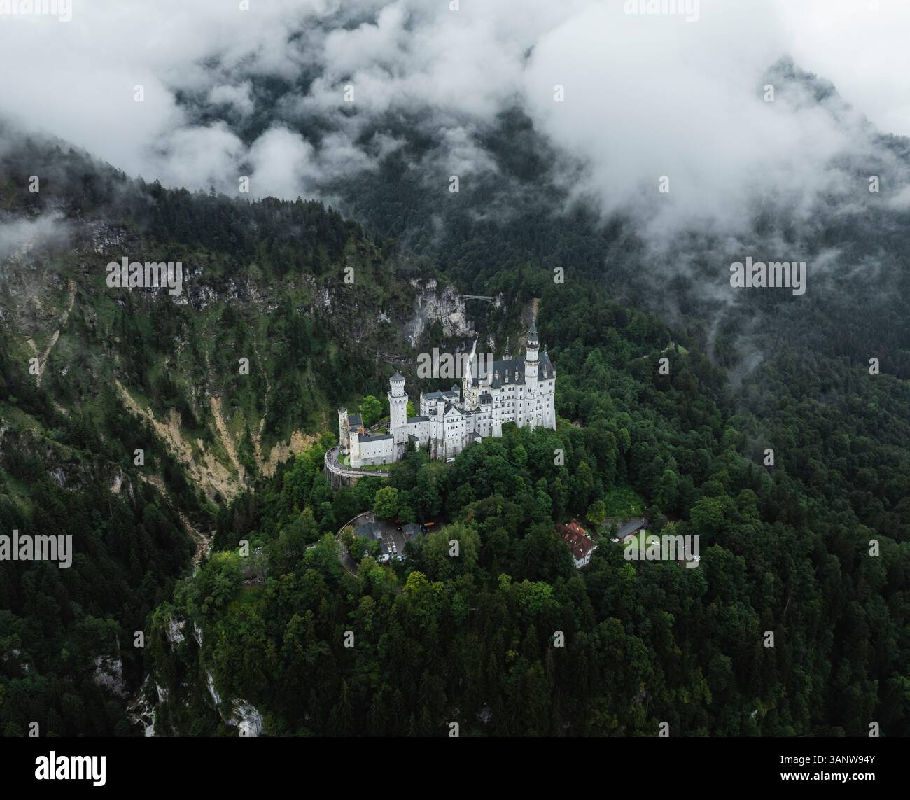 Aerial view of neuschwanstein castle surrounded by lush forest and ...