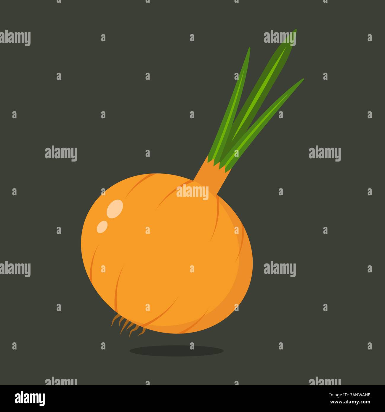 Onion whole cut organic Stock Vector Images - Alamy