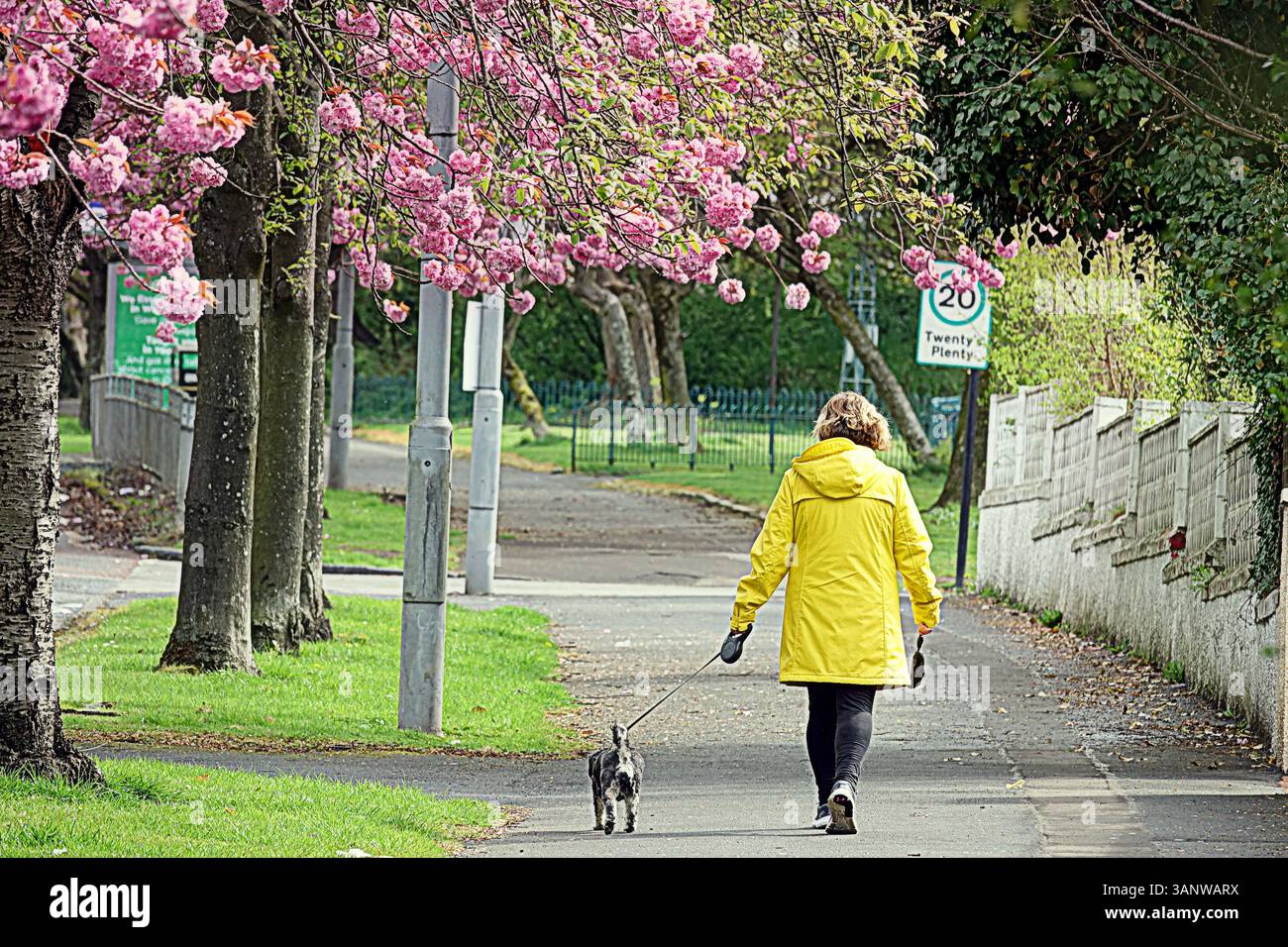 Glasgow, Scotland, UK. 15th April, 2025. UK Weather: Spring sees summer ...