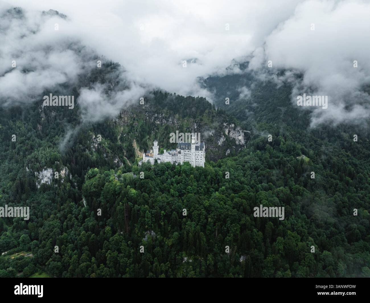 Aerial view of neuschwanstein castle surrounded by lush forest and ...
