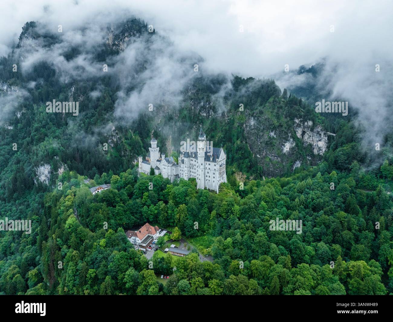 Aerial view of neuschwanstein castle surrounded by lush forest and ...
