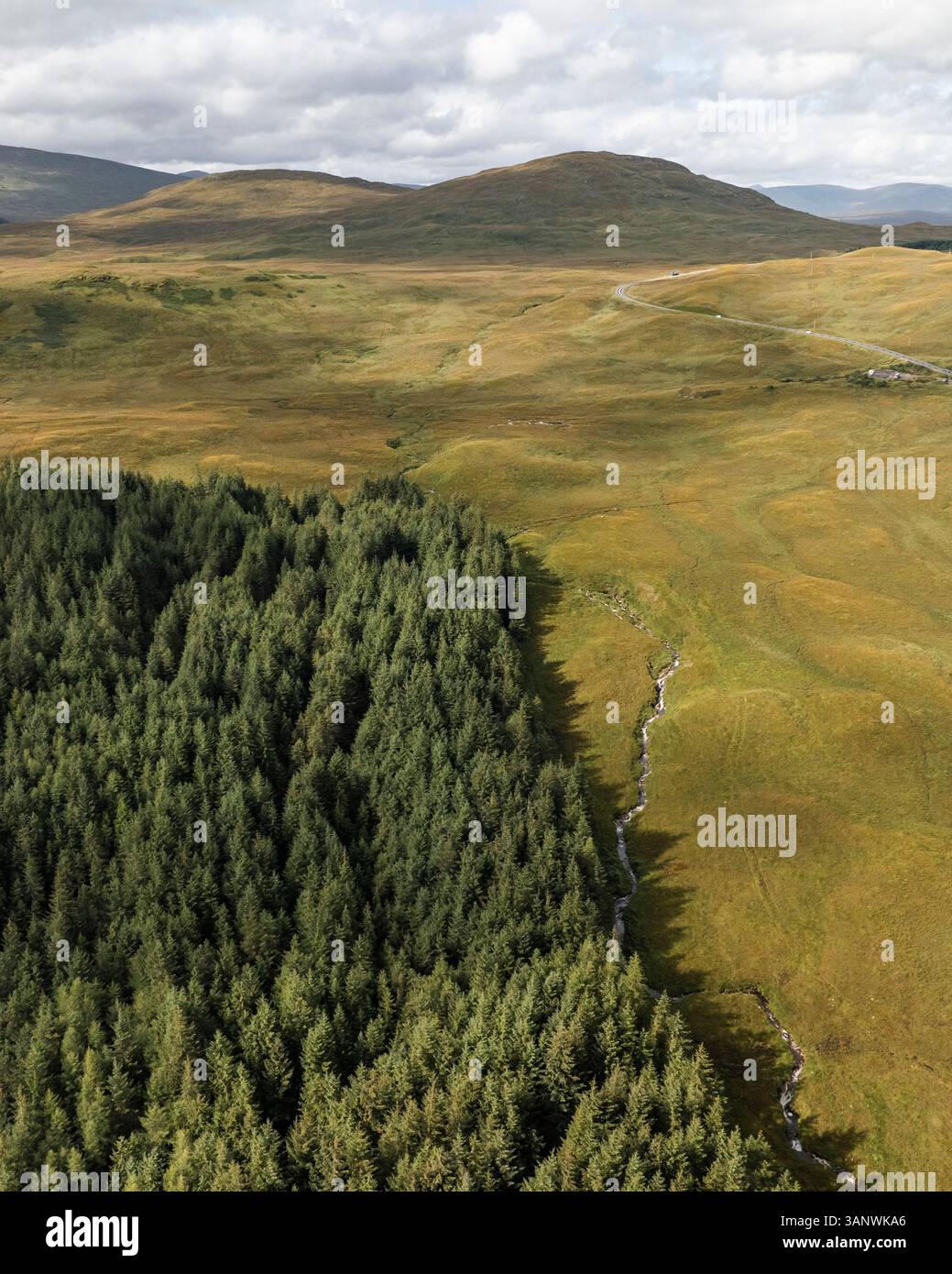 Aerial view of serene and picturesque forested mountains and valleys ...