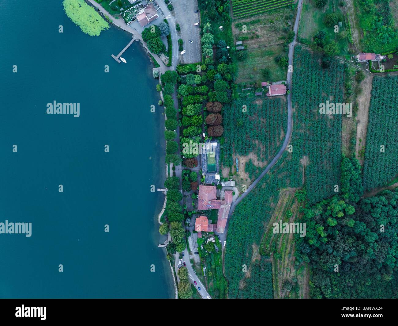 Aerial view of serene Viverone Lake surrounded by beautiful greenery ...