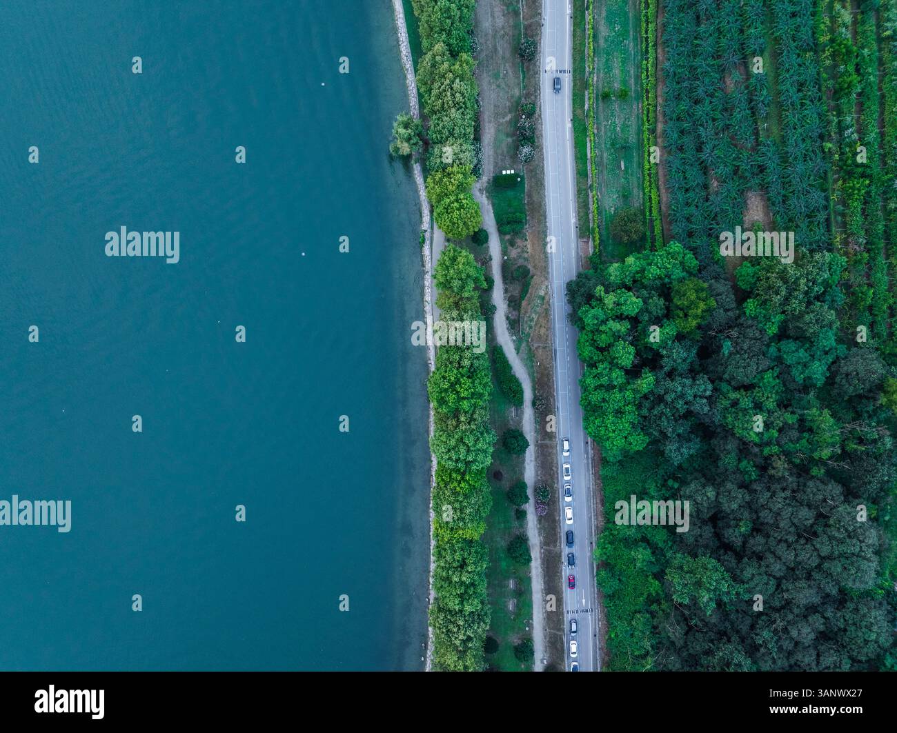 Aerial view of serene Viverone Lake surrounded by lush greenery and a ...