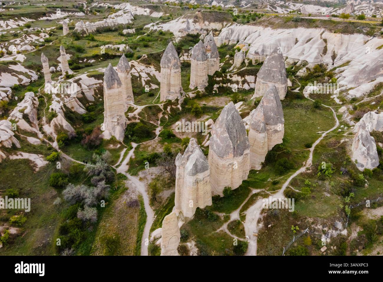 Aerial view of fairy chimney rock formation in Goreme Valley and ...