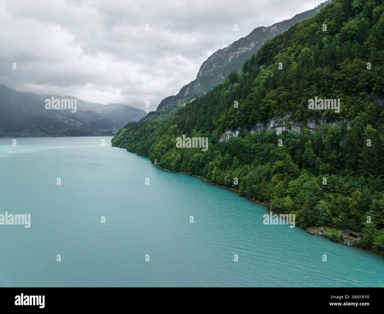Aerial view of green trees along the Brienzersee Lake coastline, Bern ...