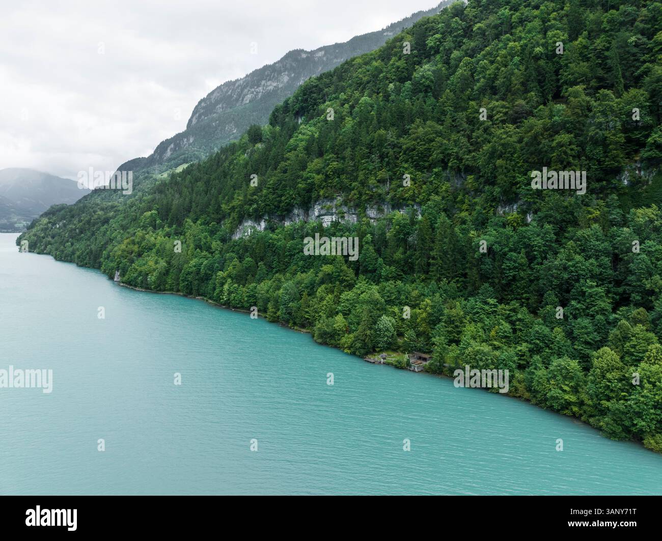 Aerial view of green trees along the Brienzersee Lake coastline, Bern ...