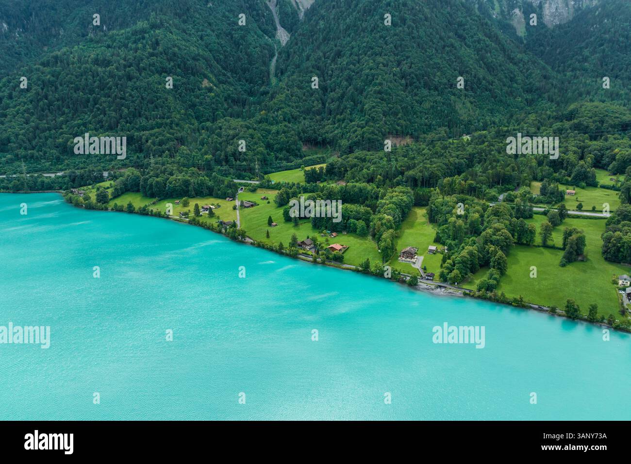 Aerial view of Brienzersee Lake in summertime during a rainy day with ...