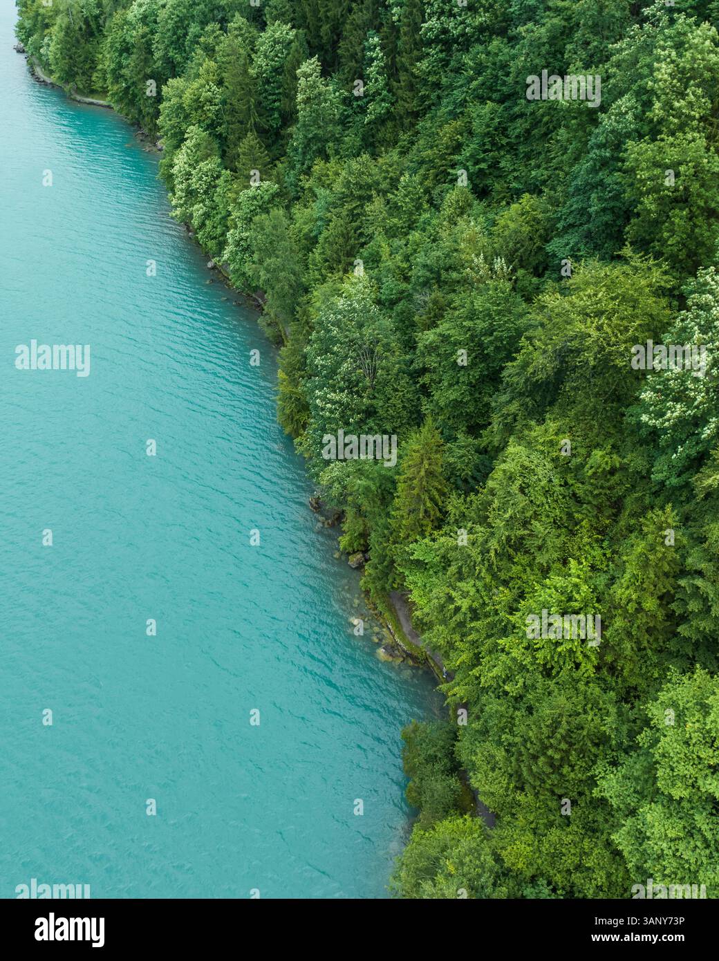 Aerial view of green trees along the Brienzersee Lake coastline, Bern ...