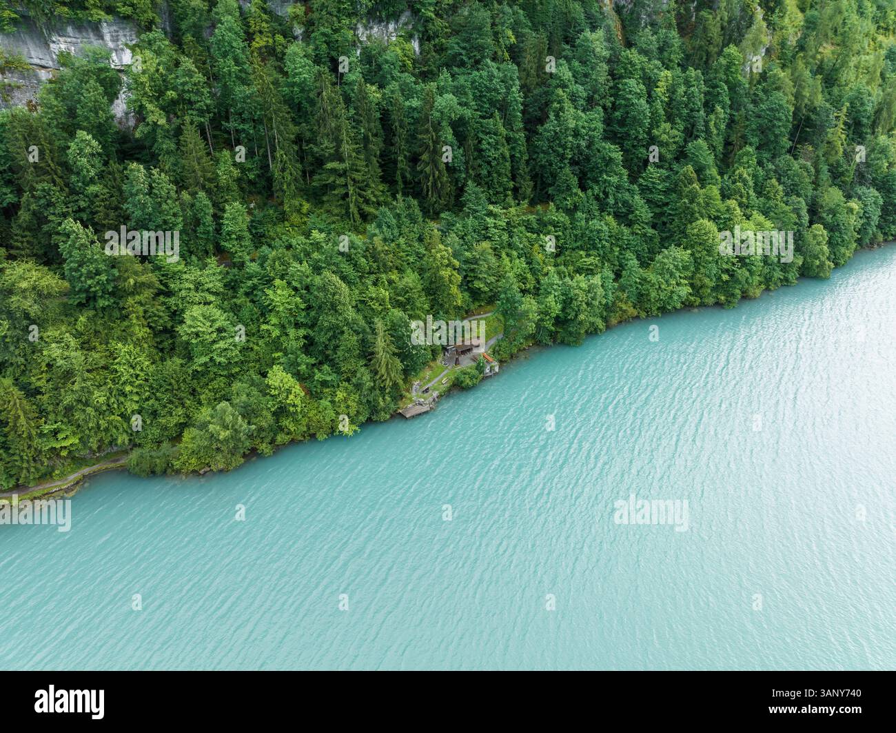 Aerial view of green trees along the Brienzersee Lake coastline, Bern ...