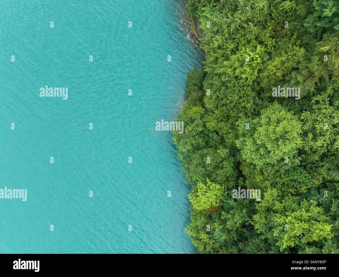Aerial view of green trees along the Brienzersee Lake coastline, Bern ...